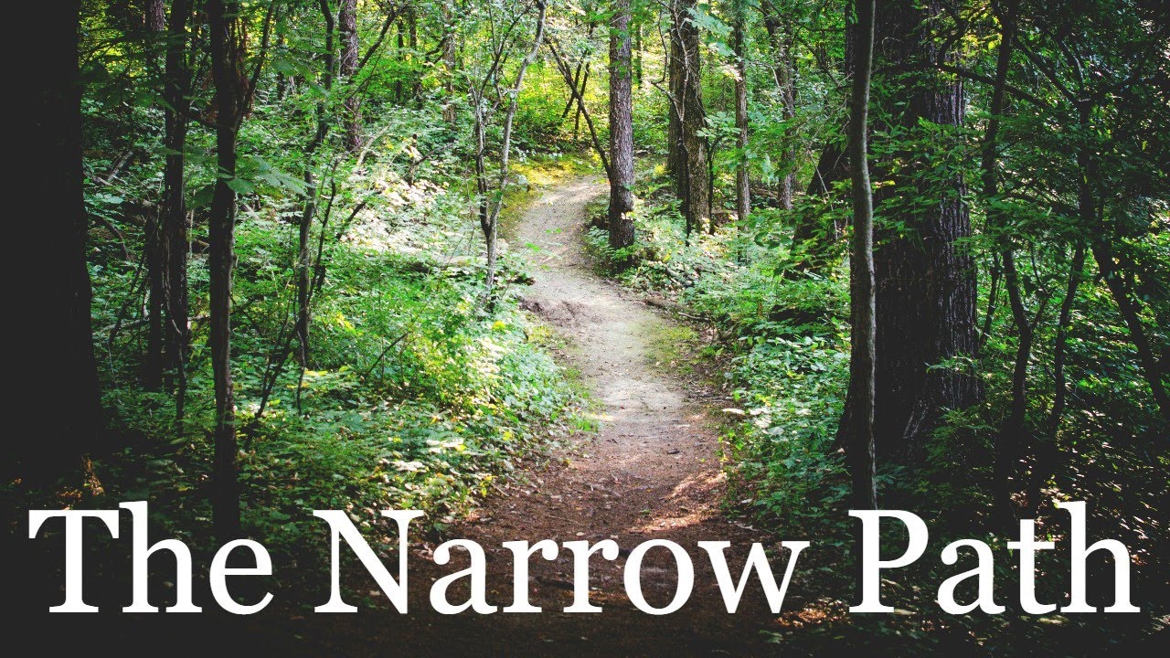 The Narrow Path - YouTube