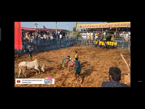 SAPTUR MARUTHU 🔥🔥 #Saptur maruthu /-#madurai