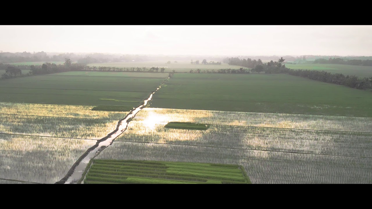 The beauty of Kapalong Davao Del Norte - YouTube