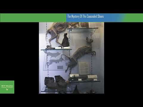The Mystery Of The Concealed Shoes: Why Were They Hidden In Walls?