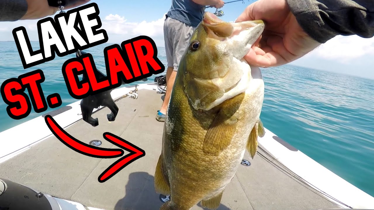Lake St Clair Summer Smallmouth Fishing SMASH FEST! - YouTube