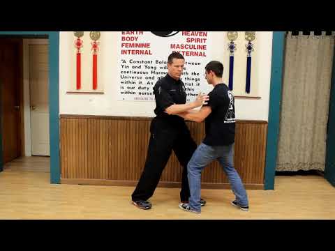 The Secret of Proper Shifting of Weight Movement in Tai Chi - YouTube