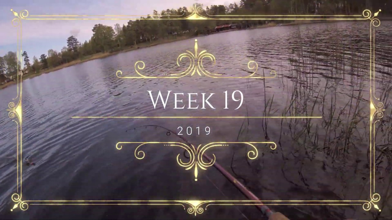 Week 19 - 2019 - YouTube