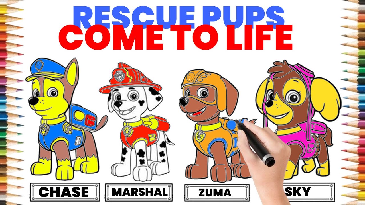 Paw Patrol Drawing Fun! Chase, Skye, Zuma & Marshall – ZooniToons - YouTube