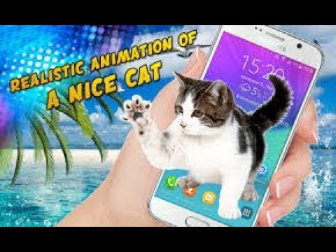 Cute cat walking and meowing on the screen of your phone - YouTube