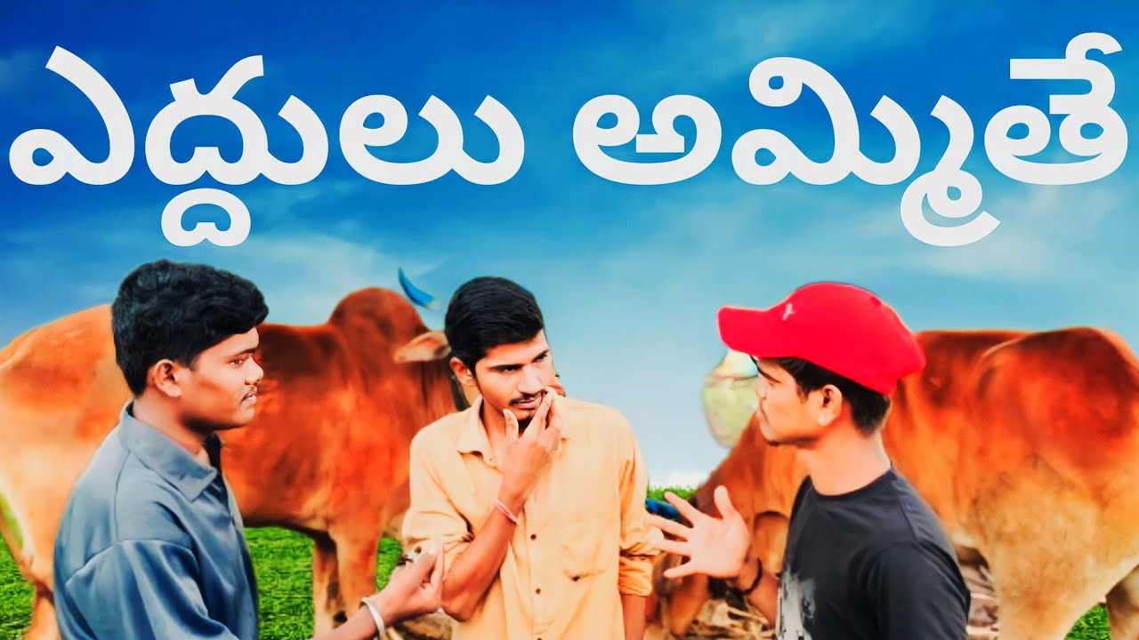 yeddulu ammithe || my village vlogs || comedy video || - YouTube