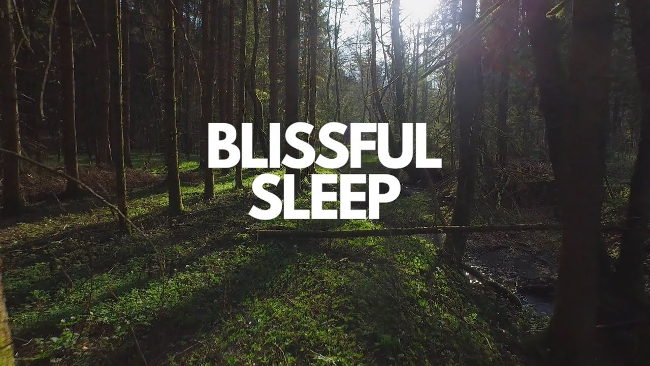 Blissful sleep guided meditation for a blissful deep peaceful sleep ...