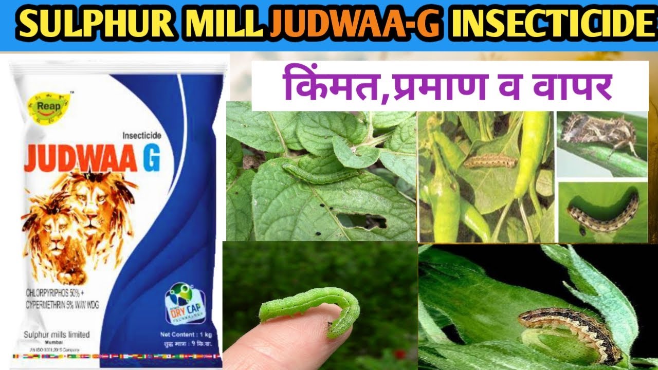 sulphur mill judwaa g insecticide | judwaa g insecticide ...
