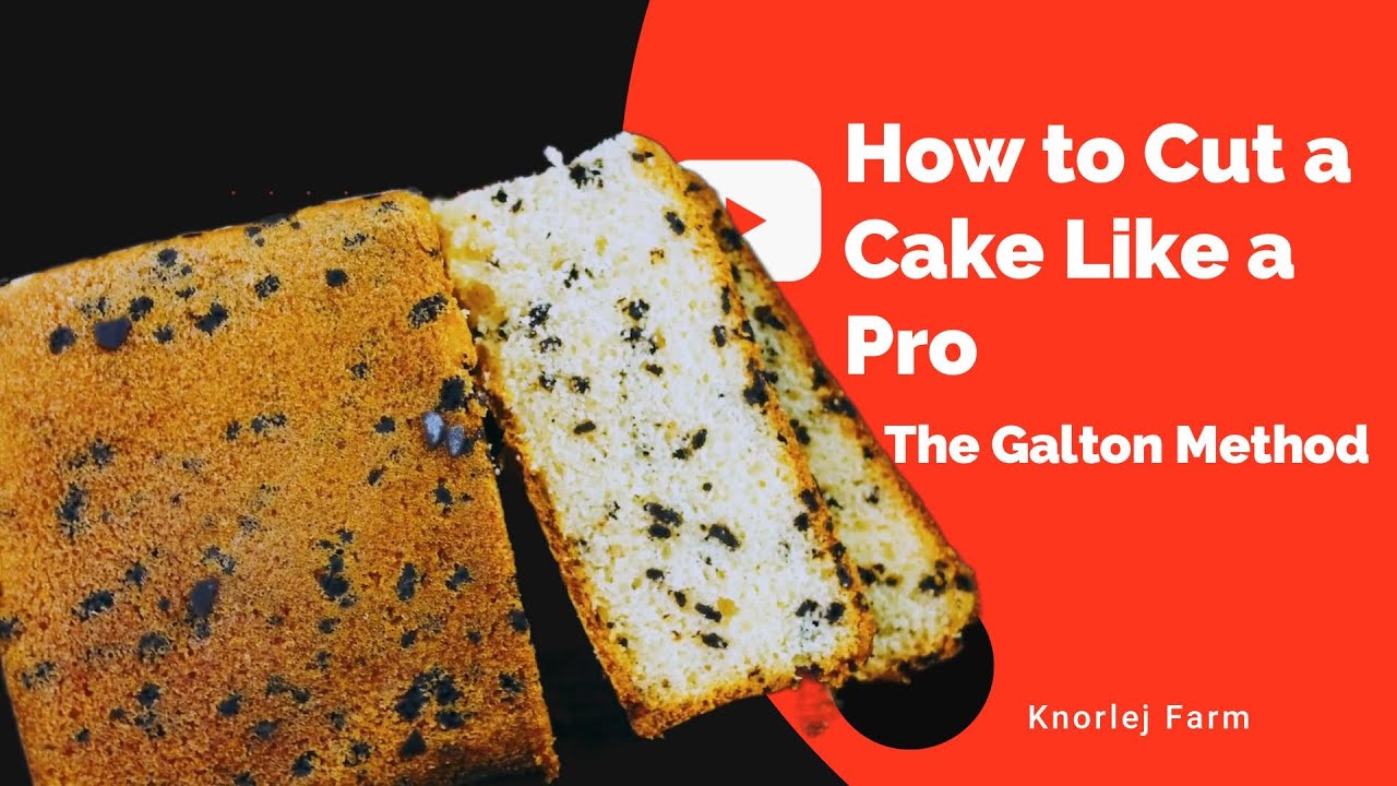 How to Cut Cake Like a Pro The Galton Method - YouTube