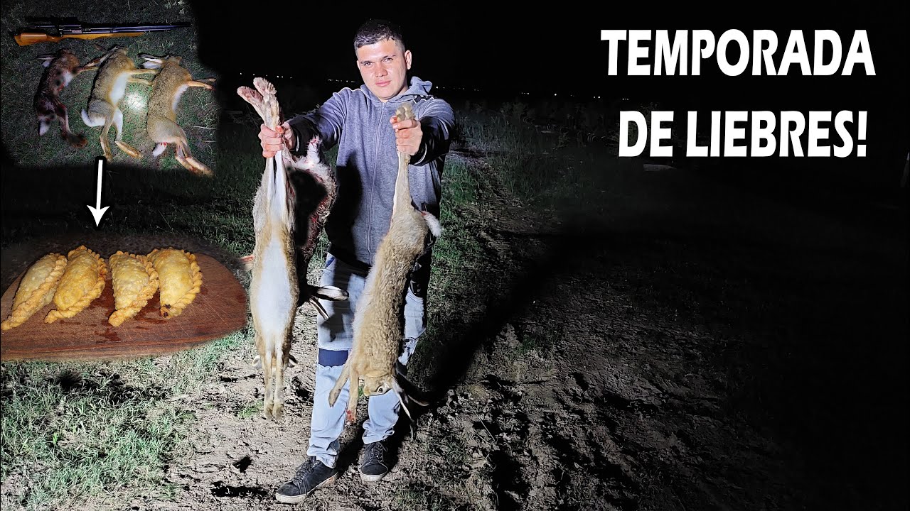 3 LIEBRES con un SOLO RIFLE!🤯CAZA DE LIEBRES con RIFLE PCP 5,5 AIRE ...