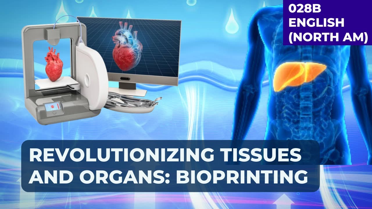 Bioprinting Organs and Tissues - Revolution in Medicine | Bilingual ...