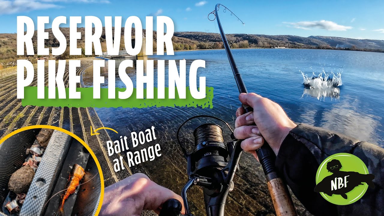Cheddar Reservoir Pike Fishing 🎣 First time Deadbaiting at range! - YouTube