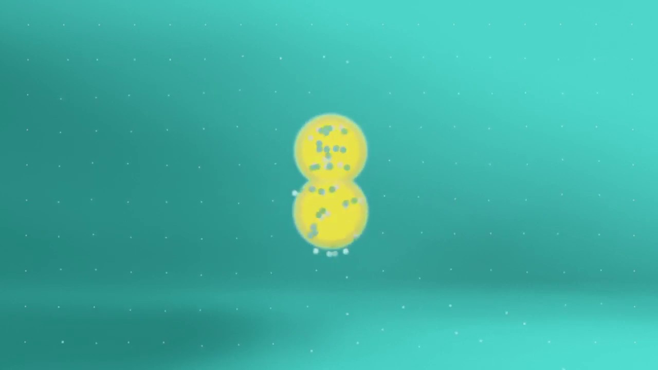 EE At Work with Digital Next - YouTube