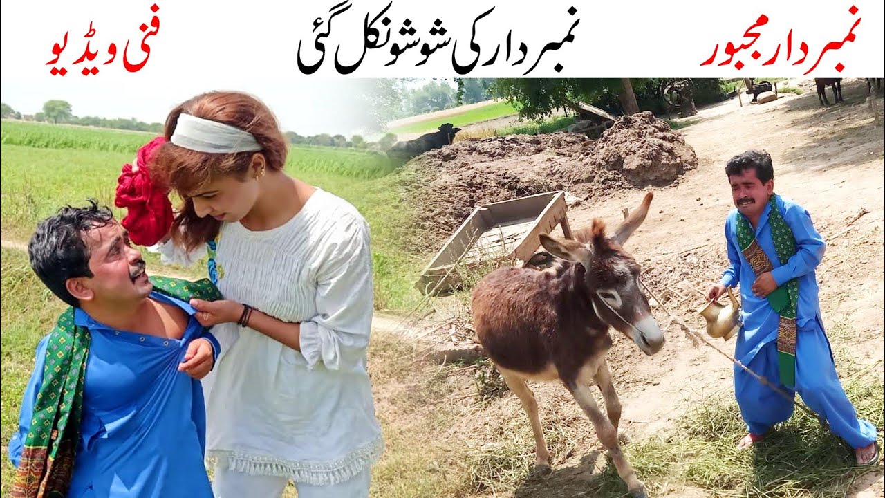 Number Daar Majboor | Number Daar New Funny Video 2021| Number Daar Top ...