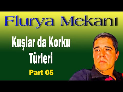 Flurya Mekanı - Kuşlarda Renk Korkusu SERİ 5