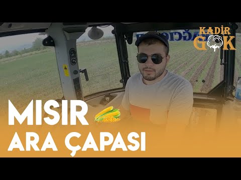 MISIR ARA ÇAPASI NEDEN YAPILIR ? || NEW HOLLAND TD75D