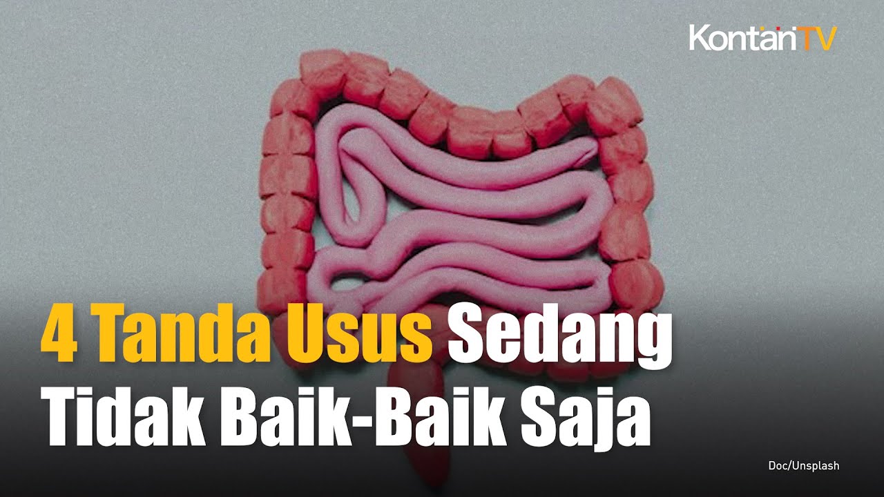 4 Tanda Usus Tidak Sehat, Salah Satunya Sakit Kepala | KONTAN News ...