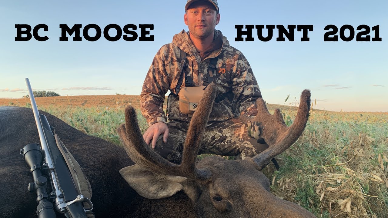 BC Moose Hunting 2021 - YouTube