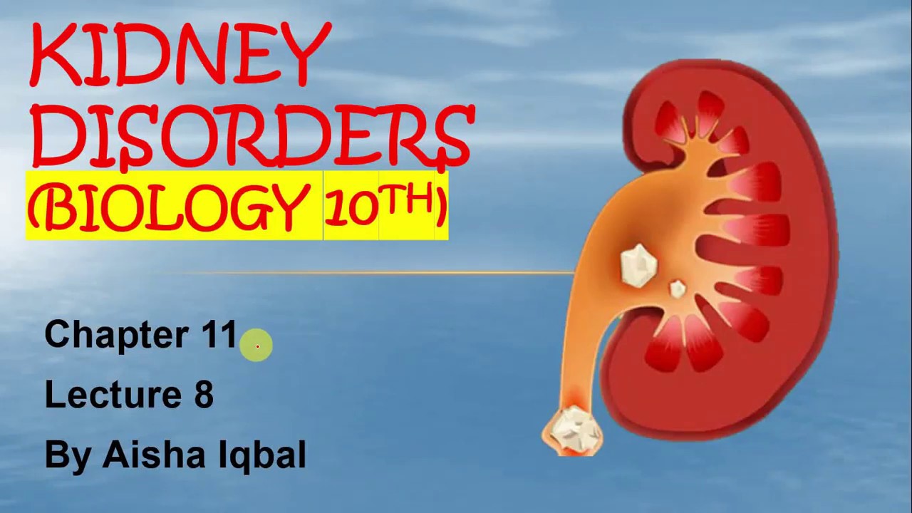 Kidney Disorders - class 10 biology - YouTube