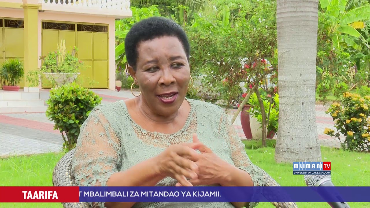 SOPHIA SIMBA : KWANINI VITI MAALUM | UBUNGE | MIAKA KUMI INANITOSHA ...