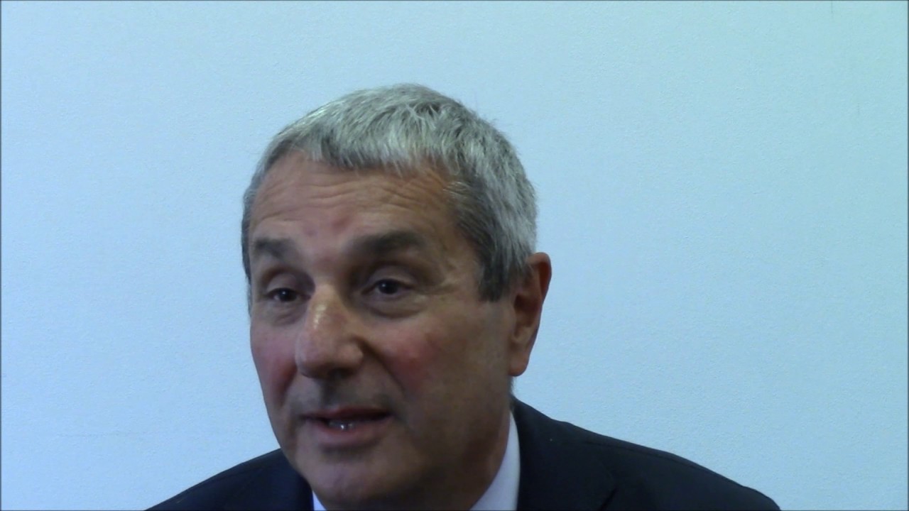 Marco Franchini WDSA History Interview - YouTube