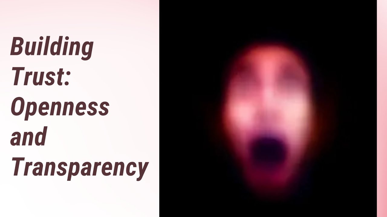 Building Trust: The Role of Openness and Transparency in Consensus ...