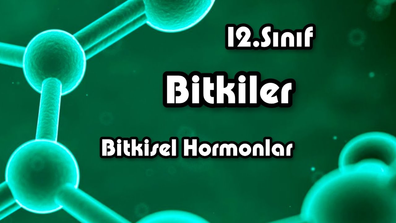 12.Sınıf Bitkiler #3 - Bitkisel Hormonlar - YouTube