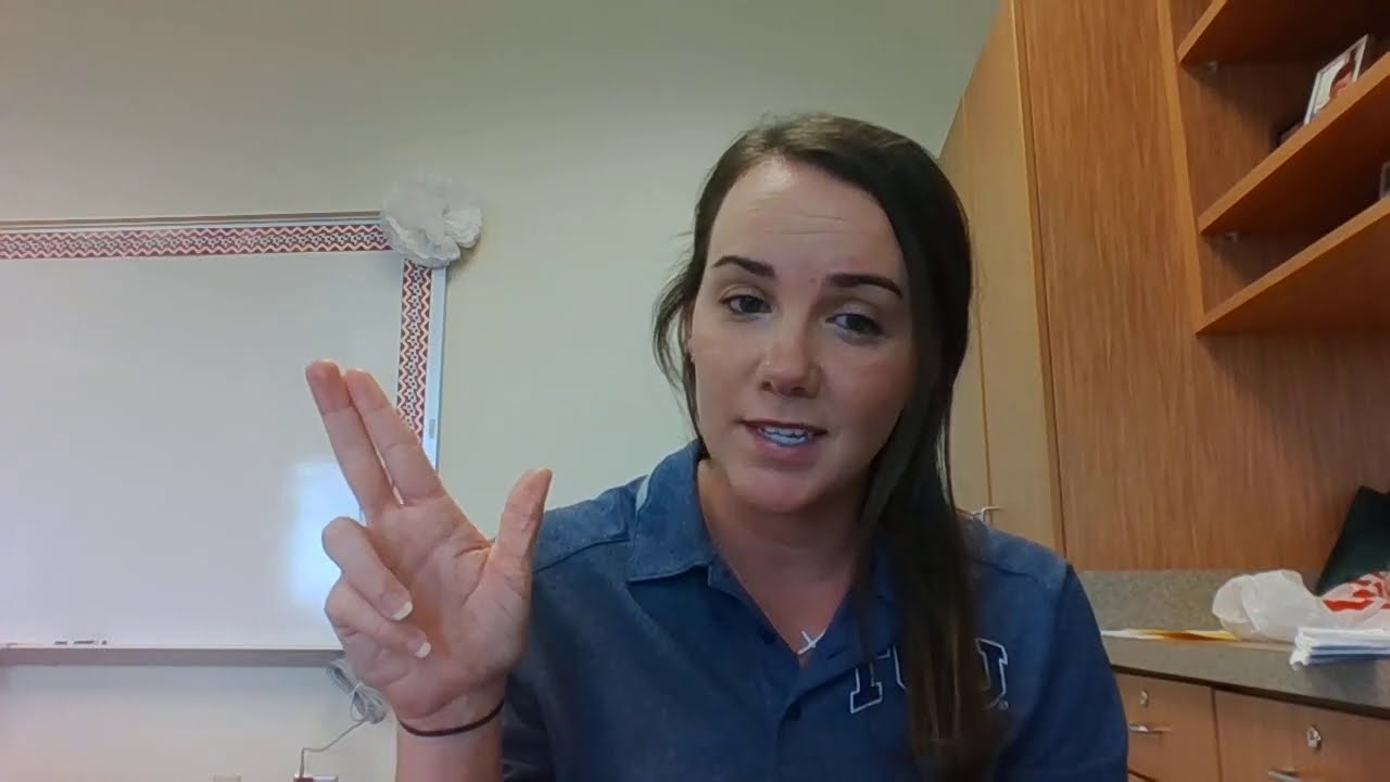 Bill of Rights Review with hand signals - YouTube
