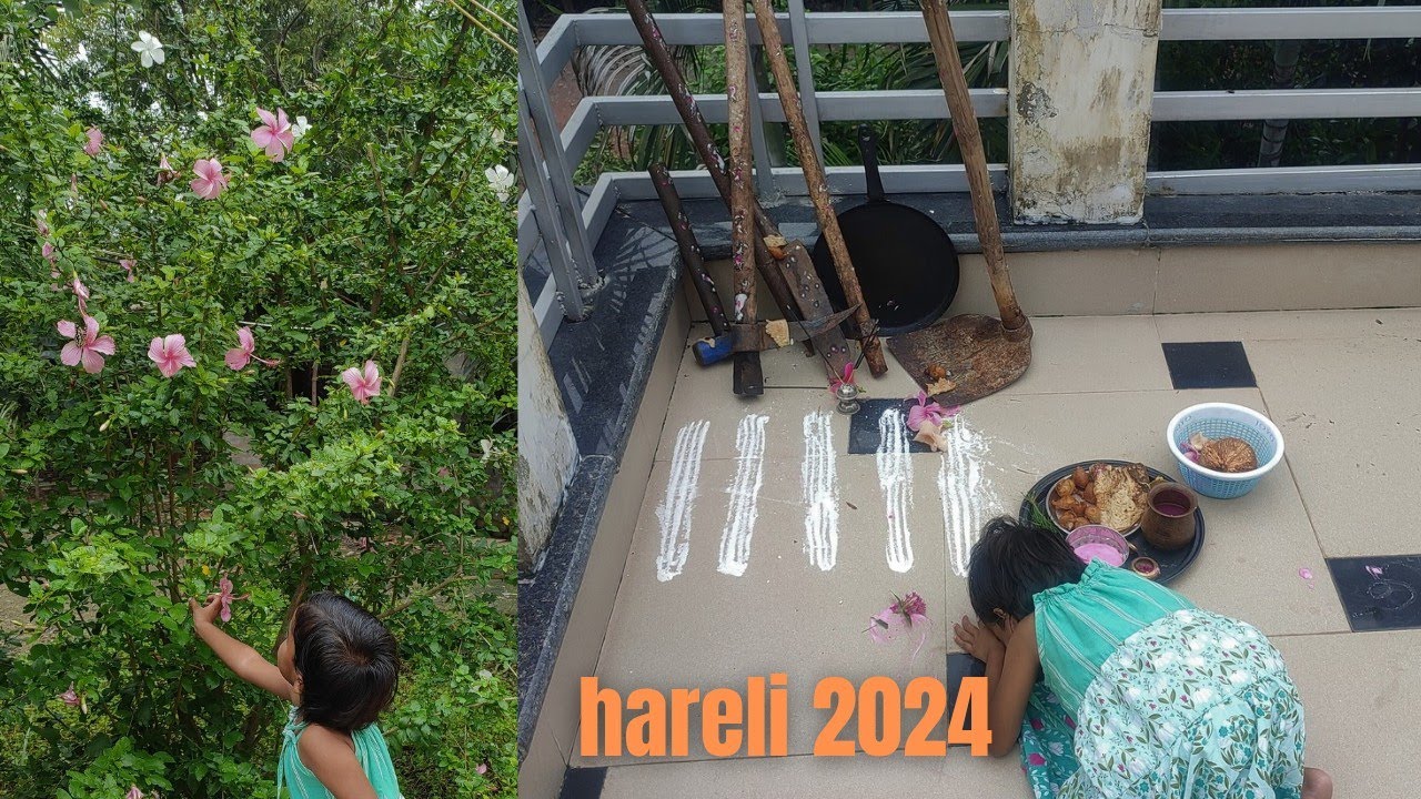 hareli video||hareli 2024||cg hareli 🌿||hareli video||nisha's new world ...