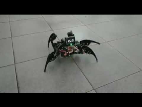 Arduino mega 2560 Robot HEXAPOD Indonesia - YouTube