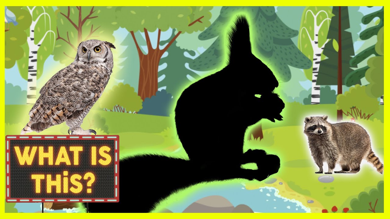 WHAT IS THiS ANIMAL? ️ ANIMALS FOR KiDS | LEARN WILD ANIMAL NAMES FOR ...