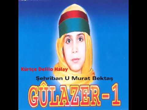 ŞEHRİBANA KURDİ GULAZER