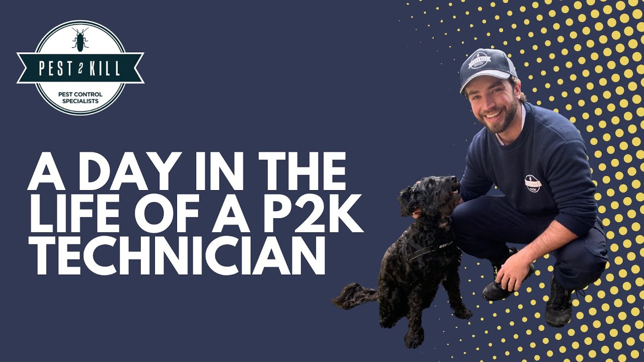 A Day in the Life of a P2K Technician 🪳🥐💻🏎️ - YouTube