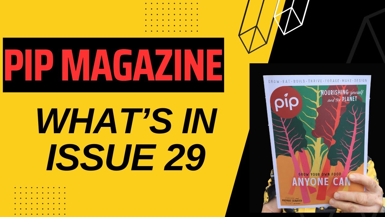 PIP Magazine Issue 29, Review & Reveal. What's Not To Love!!! - YouTube