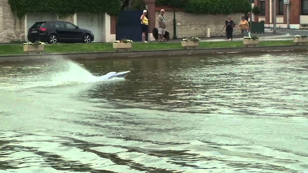 popeye,léopard 5692 730 kv ,hélices de 63mm - YouTube