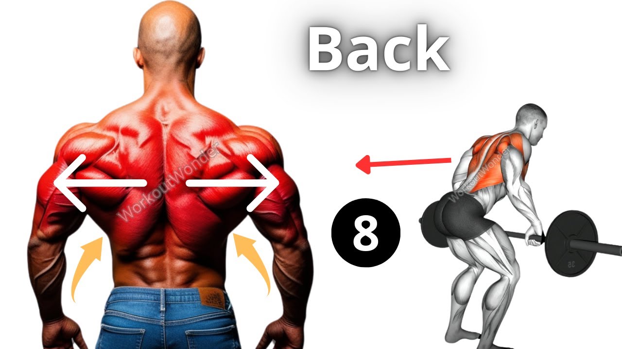 Best Back Exercises Steps to Strengthen Your Posterior Muscles - YouTube