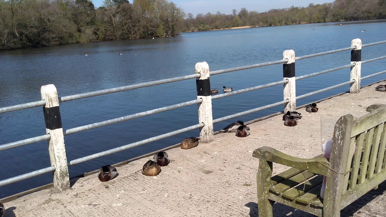 Redesmere lake - YouTube
