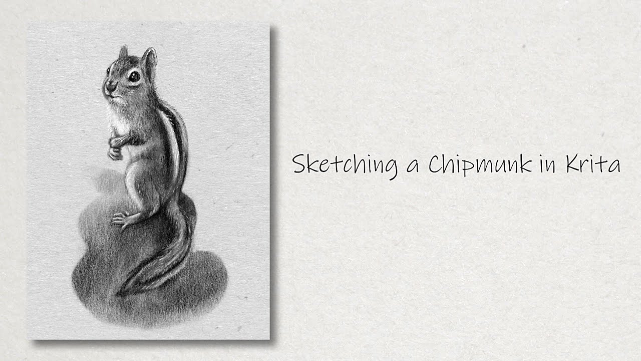 Sketching a Chipmunk in Krita with pencil brushes - YouTube