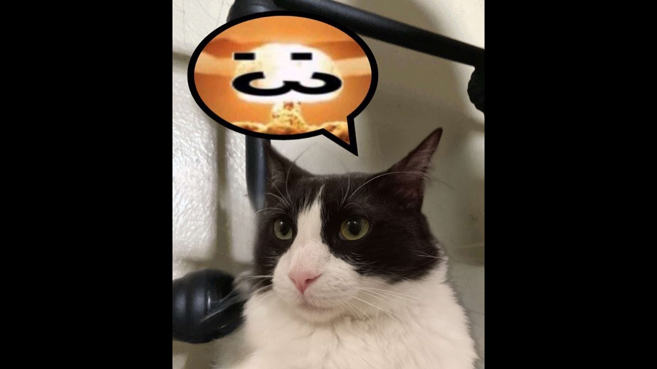 1hour ASMR edgebug compilation - YouTube