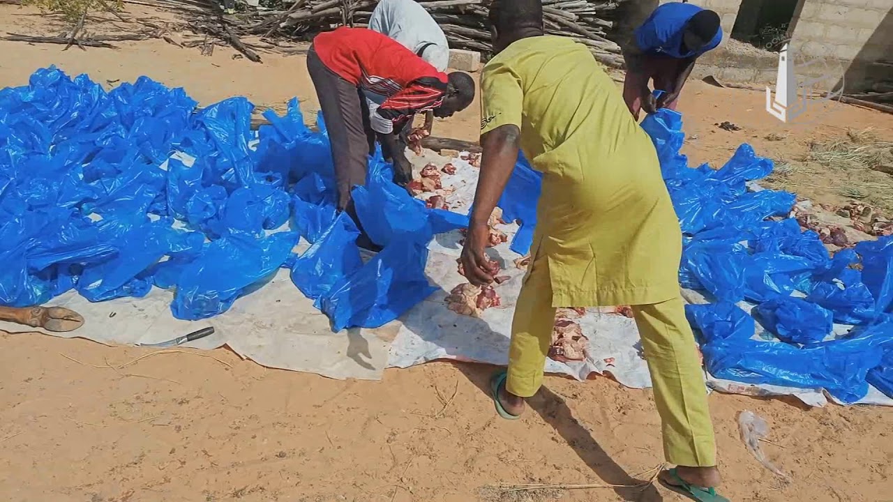 Distribution des viandes au Niger, Maradi - YouTube