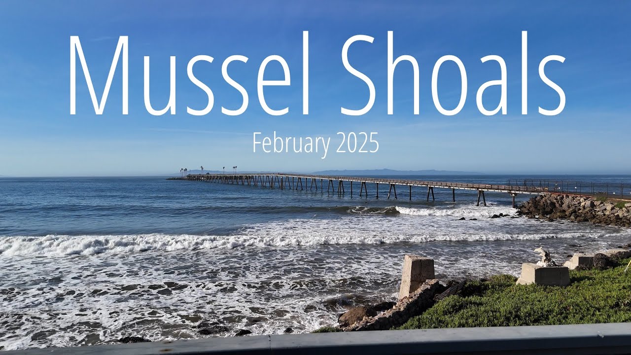 Mussel Shoals - Feb 2025 - YouTube