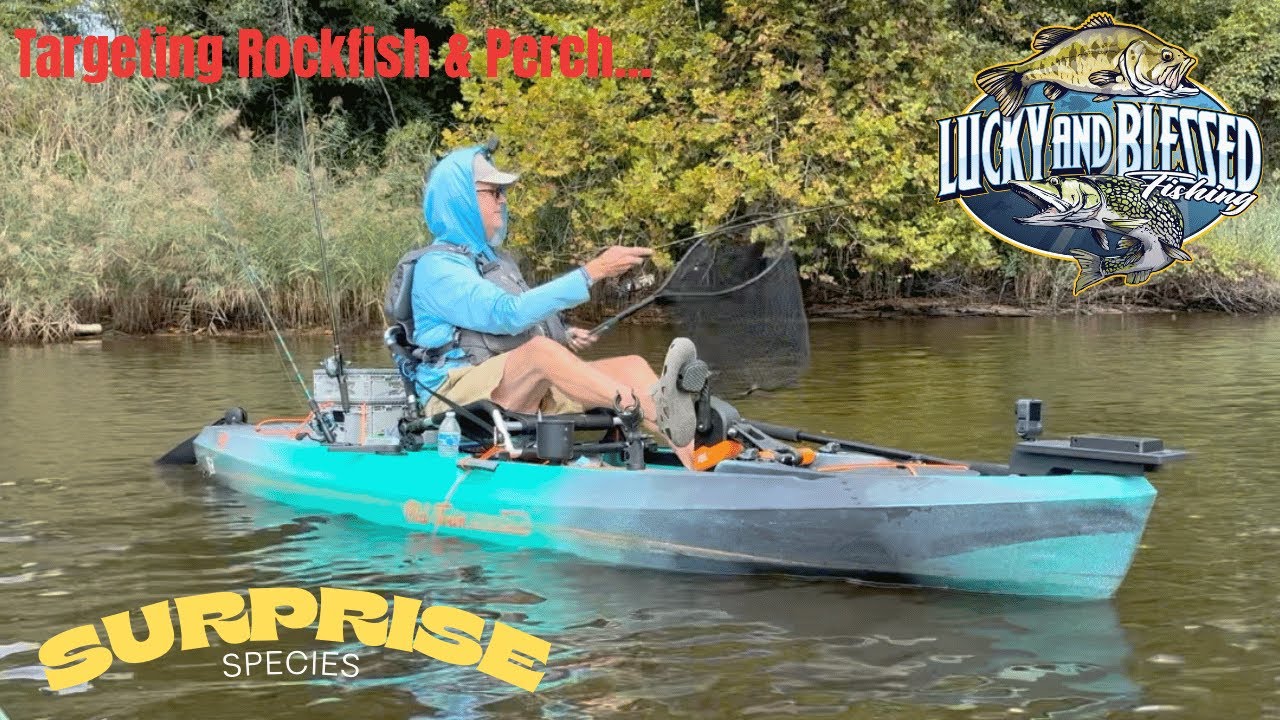 Kayak Fishing for Rockfish and Perch and Catching a Surprise Species in ...