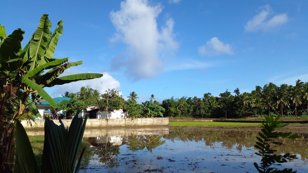 Laban lang #27 - YouTube