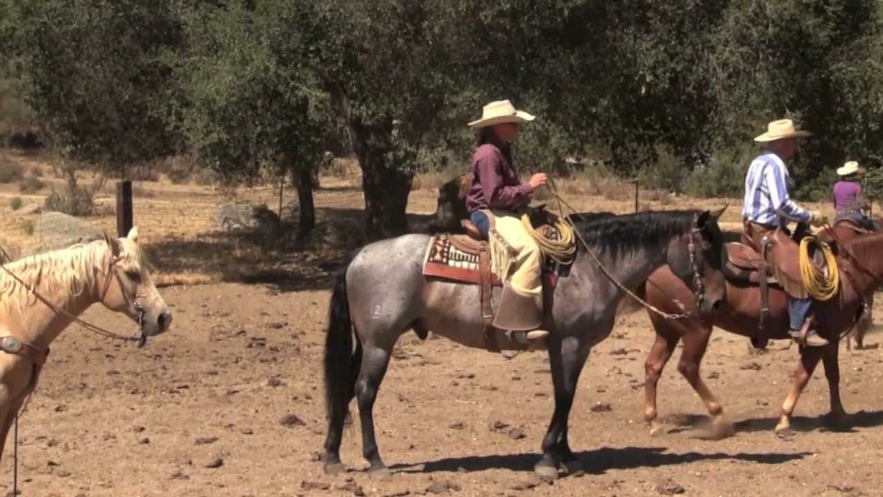 SAMPSON AND OBBIE SCHLOM AT REED VALLEY RANCH - YouTube