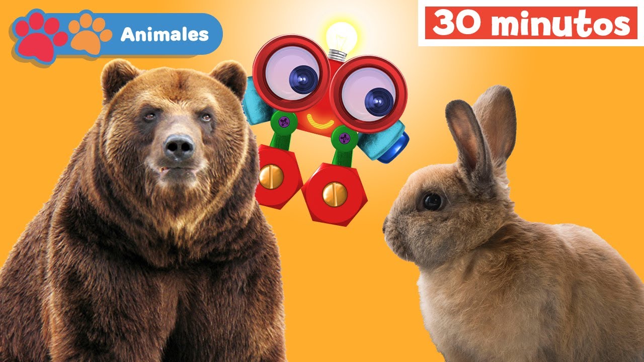 Mis Amigos Animales con Robi | Aprender animales | Sonidos de animales ...