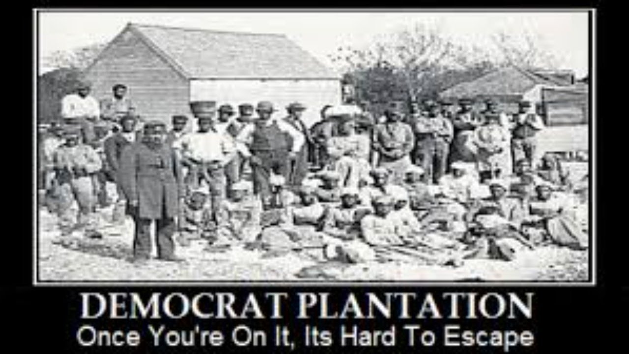 The Left Continues To LIE at You / Leave the Democratic Plantation 2020 ...
