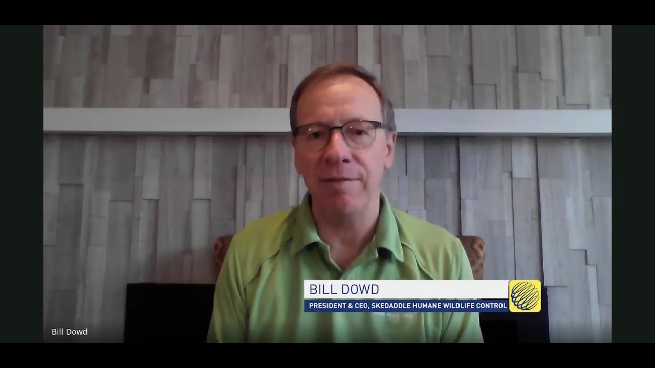 Skedaddle's Bill Dowd Joins The Weather Network to Talk Animal Entry ...