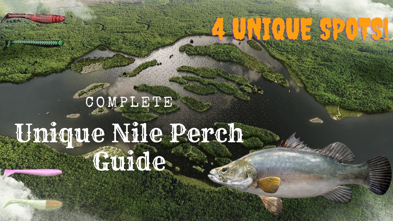 Complete Unique Nile Perch Guide | Fishing Planet - YouTube