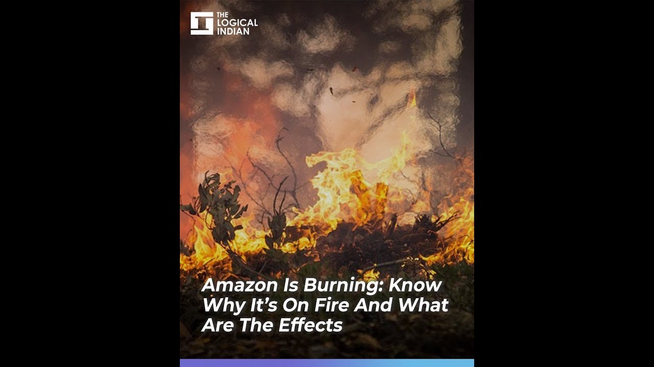 Amazon Is Burning: Know Why It’s On Fire And What Are The Effects - YouTube