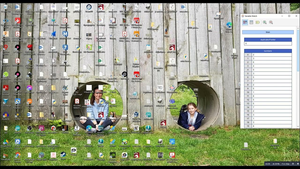 Flowgorithm - Find Duplicate items in an array - YouTube